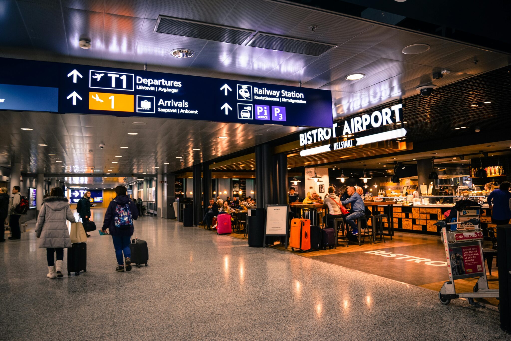 Checked Bags, Wet Noses, Zero Regrets: Why Pet Travel is Messy, Magical ...